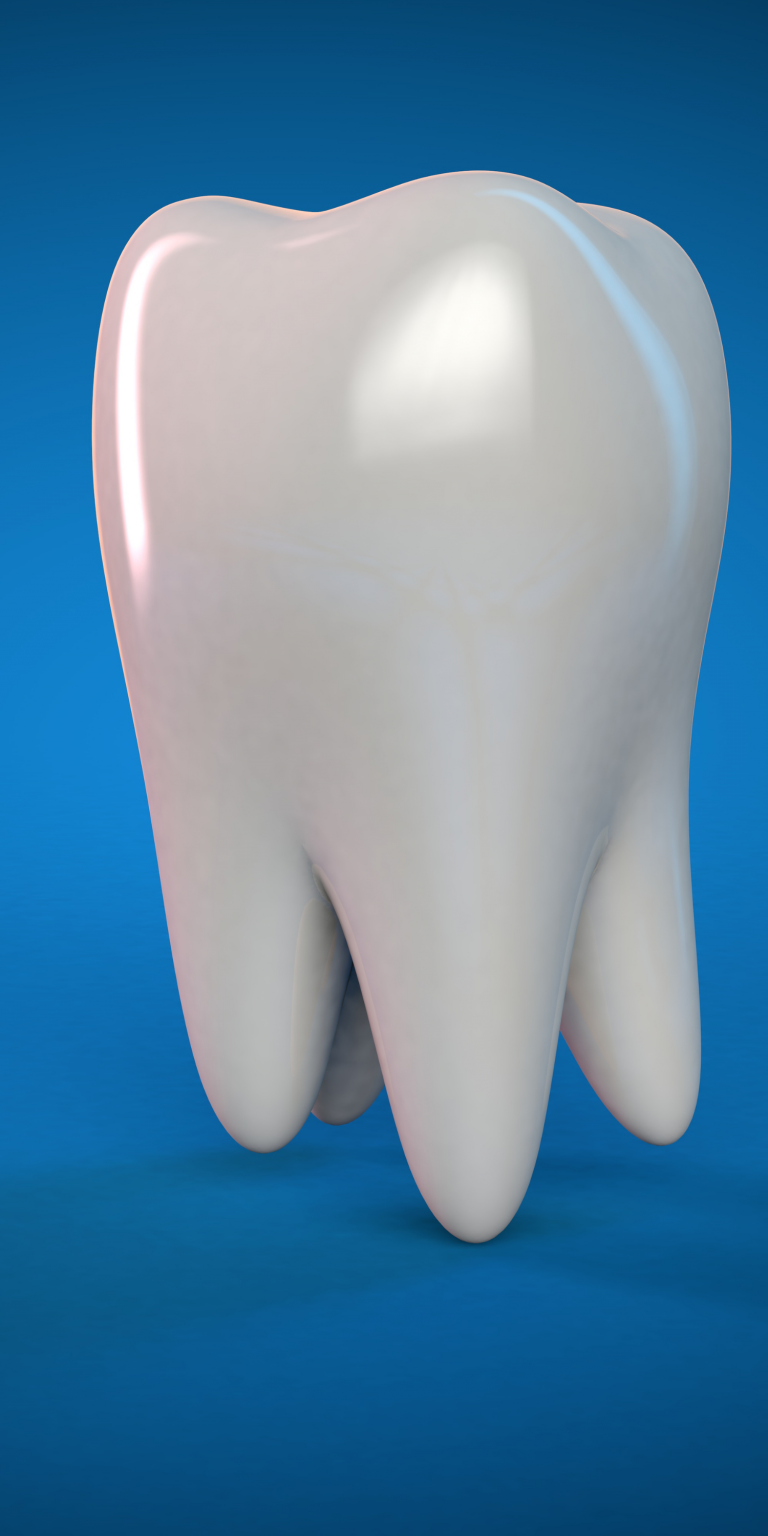 ¿Cómo es el diente? - Clínica Kranion
